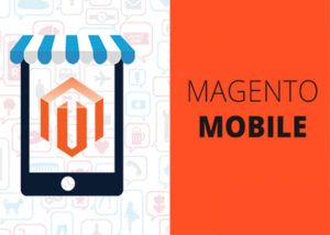 Magento Application Development | Web | Magento Mobile App Builder
